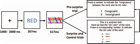 Sample Trial Sequences In Experiment 2 Stimuli Not Drawn To Scale