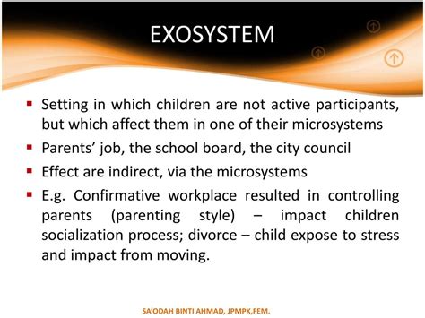 Theories In Human Services Fem Ppt Download