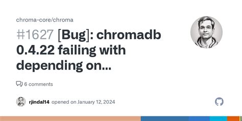 Bug Chromadb Failing With Depending On Onnxruntime Issue Chroma Core