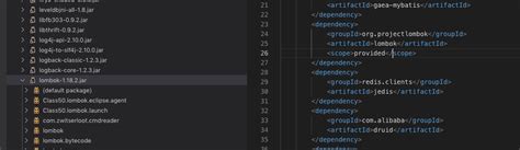 Lombook Extension Is Not In Effect Issue Microsoft Vscode Lombok Github