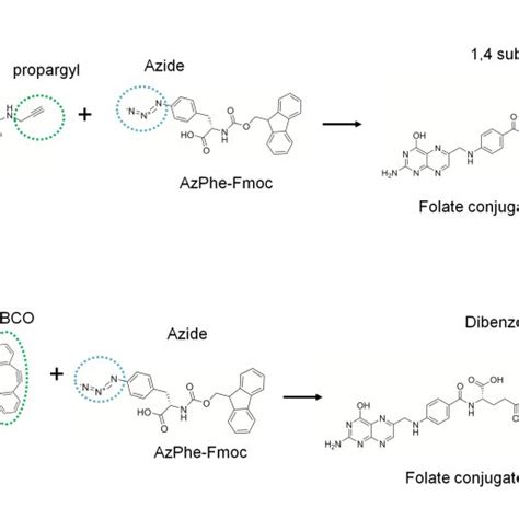 Synthesis Procedure For Peptide Conjugates A N Terminal Peptide
