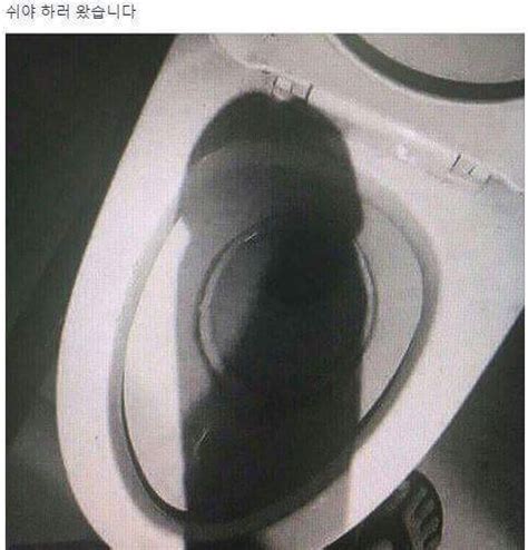 허갤 레전드 유머 움짤 이슈 에펨코리아