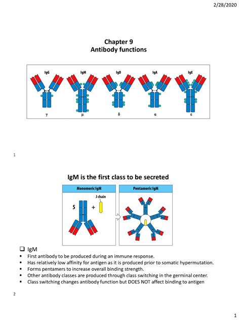 Antibody Effector Function Analysis At Susan Curnutt Blog