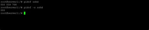 Linux Pidof Command Tutorial For Beginners 5 Examples