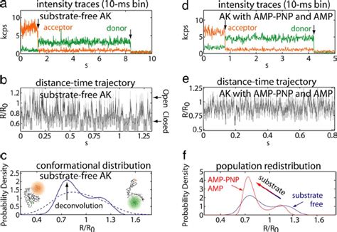 Raw Single Molecule Data And Subsequent Analysis A Single Molecule