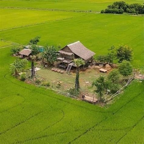 Myint Myat Swe ေဒသၾကက္ေမြးျမဴေရး