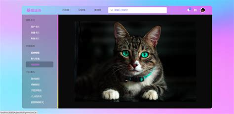 魔法诗~~~一套基于vue开发的实用、高端、炫酷的响应式前端网页！！！vue京茶吉鹿infoq写作社区