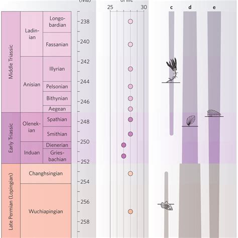 Pdf Mass Extinctions Ecological Diversity Maintained