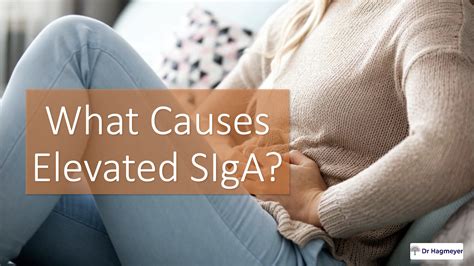 Secretory Iga Levels Siga Lab Tests Explained Dr Hagmeyer