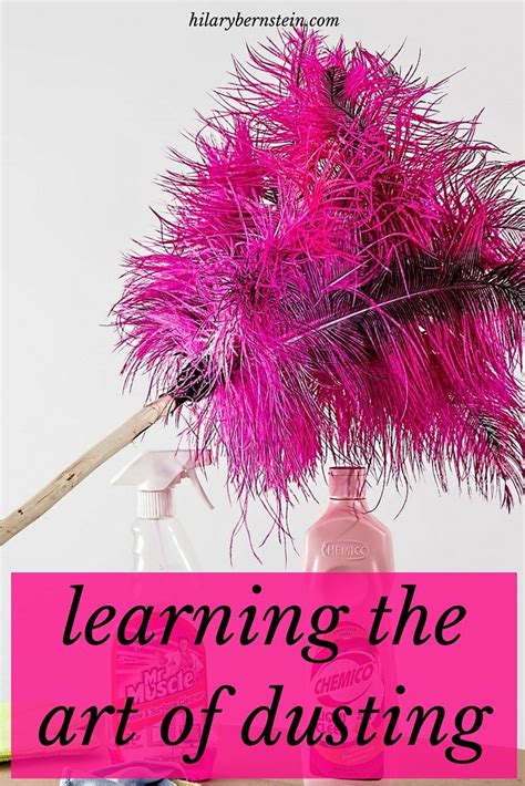 Simple Dusting Tricks At Cooper Mcguigan Blog