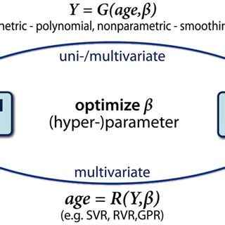 Schematic Illustration Of Generative And Recognition Models Of Age A Download Scientific