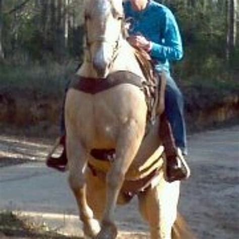 Stream Lori Farmer Jones Music Listen To Songs Albums Playlists For