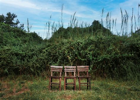 경치 경치가 좋은 고립된 고요한 광야 나무 나뭇잎 노천 녹지 농촌의 뒤뜰 들판 러스틱 맑은 공기 목가적 인 목가적인 목조 의자 미니멀리스트