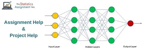 Neural Network Assignment Help Neural Network Homework Help