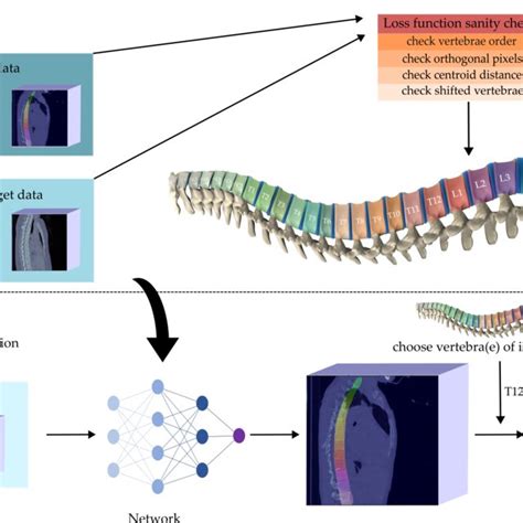Visual Abstract Of Our Work We Train A Vertebrae Detection And