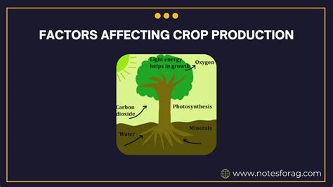 Factors Affecting Crop Production Best Notes For Ag