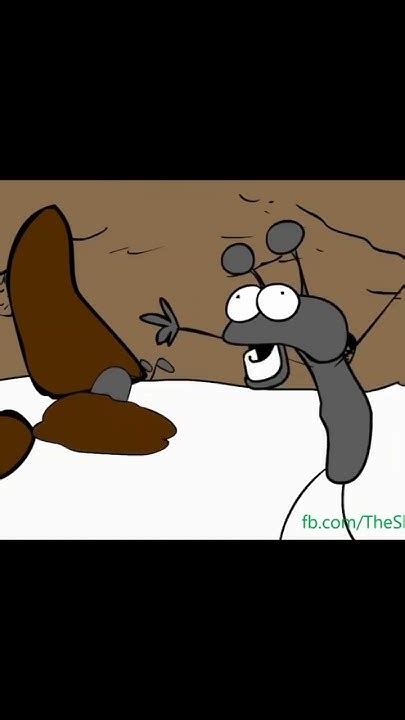 ისევ ჭიანჭველების აპოკალიფსი 🤣 Shotavlogger Youtube