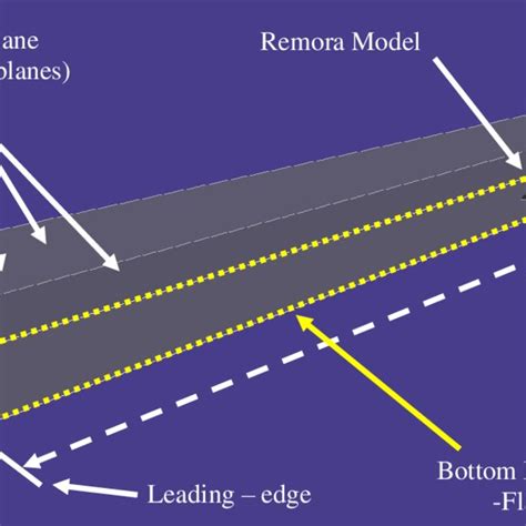 Domain And Boundary Conditions Of The Flat Plate Boundary Layer Case