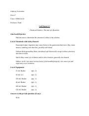 Lab Chemical Kinetics Lab Report Anthony Sorrentino Class