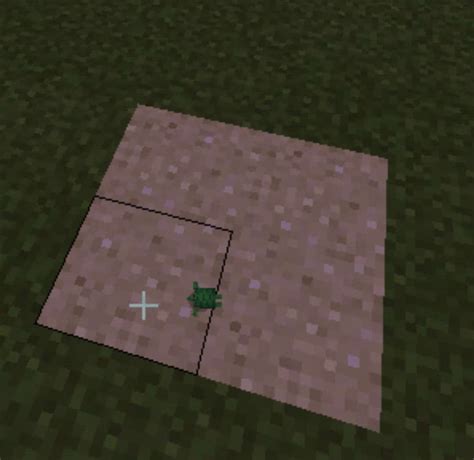 Черепаха в Minecraft