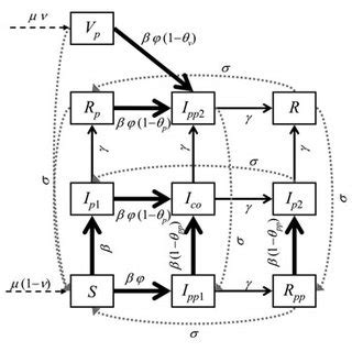 Diagram Of The Dynamic Model Described By Equations Boxes Download Scientific Diagram