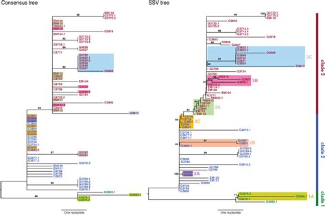 High Resolution Genomic Surveillance Of 2014 Ebolavirus Using Shared Subclonal Variants Plos