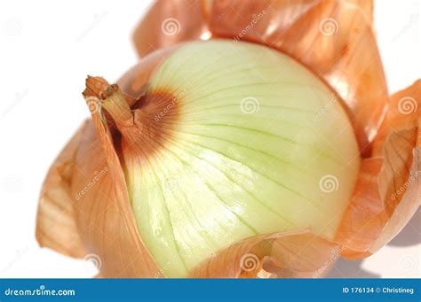 Peeling Onion Stock Photo Image Of Peel Layers Bulb 176134