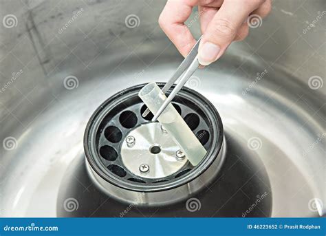 Scientist Loading A Sample To Centrifuge Stock Photo Image Of Sample
