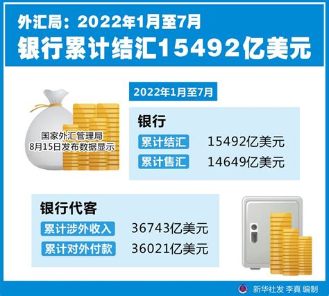7月我国外汇市场运行总体平稳中国网
