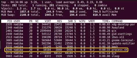 Check If A Process Is Running In Bash 6 Methods Linuxsimply