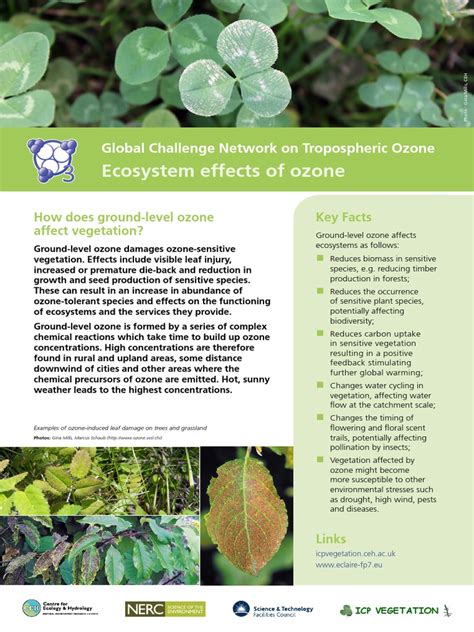 Assessing The Impacts Of Chronic Ground Level Ozone Exposure On