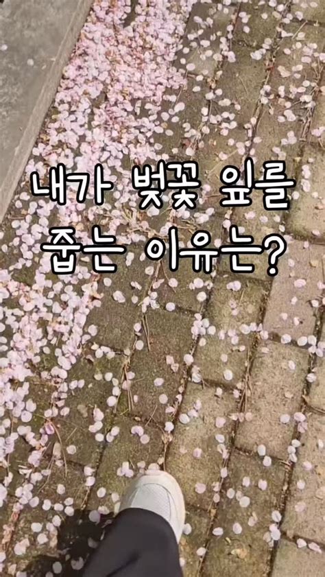 ʜʏᴜɴ ᴊɪɴ 엄마표영어 거실서재화 성심당 아니고 송심당☕️ 내가 좋아하는 빵집 바게트에 브리 치즈와 사과 듬뿍