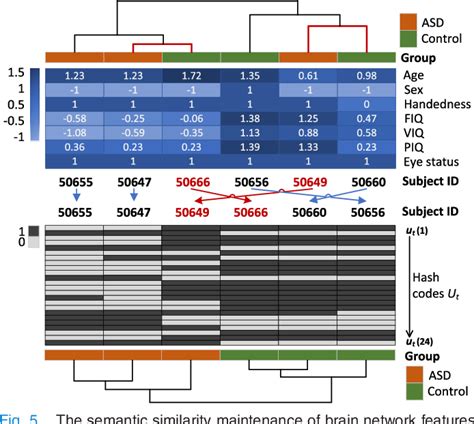 figure 5 from functional brain network classification based on deep