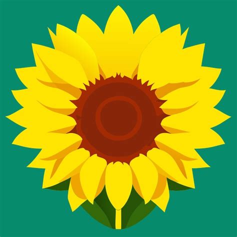 Premium Vector Basic Sunflower Vector Illustration