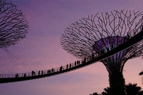 High Level Business Actions On Nature