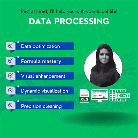 clean analyze and visualize your data by linita82 fiverr
