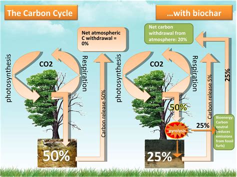 Biochar Root Growthandrhizospherecommunities Linkedi Ppt Biochar Root Growthandrhizospherecommunities Linkedi Ppt