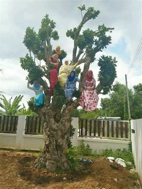 6 Aksi Gokil Cewek Saat Manjat Pohon Banyak Tingkah Hot Liputan6 Com