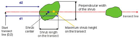Sampling Design For Each Shrub Plot 20x20m Download Scientific Diagram