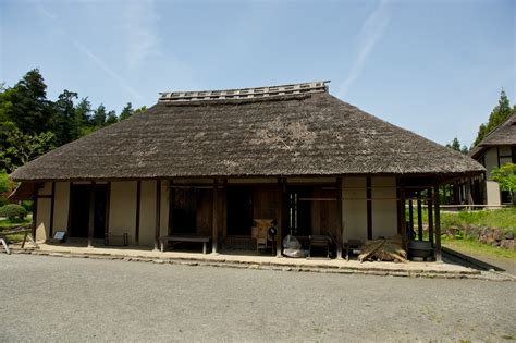 泉の森 やまとナビ－navi－神奈川県大和市のスポーツ・よか・みどり情報サイト