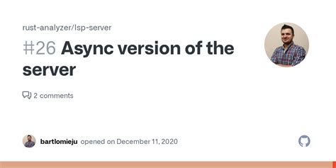 Async Version Of The Server · Issue 26 · Rust Analyzerlsp Server · Github