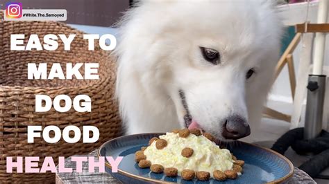 Are Bones Easily Digested By A Samoyed