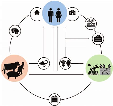 Transmission Pathways For C Difficile Download Scientific Diagram