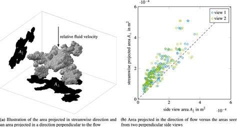Characterization Of The Particle Orientation In The Flow Area Download Scientific Diagram