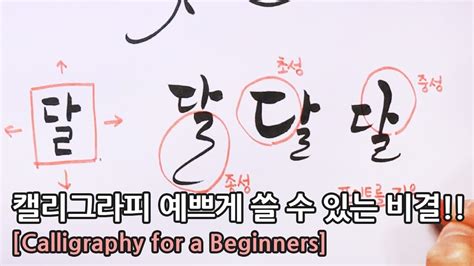 Eng Sub 초보자들을 위한 캘리그라피 강좌 01 [calligraphy For A Beginners] Youtube