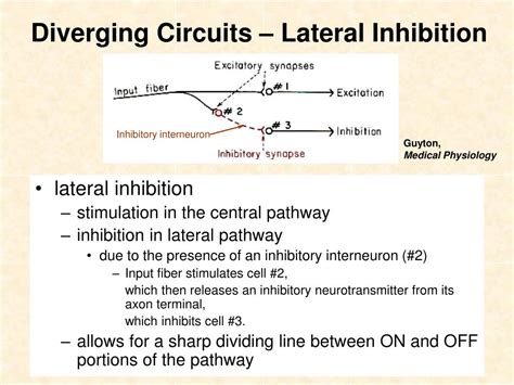 Ppt Neural Circuits Powerpoint Presentation Free Download Id1709938