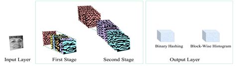 illustration of pcanet architecture the network consists of two