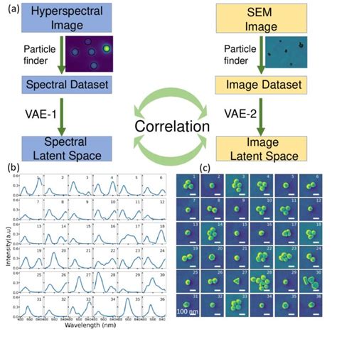 A Schematic Representation Of The Dataset Identification And Download Scientific Diagram