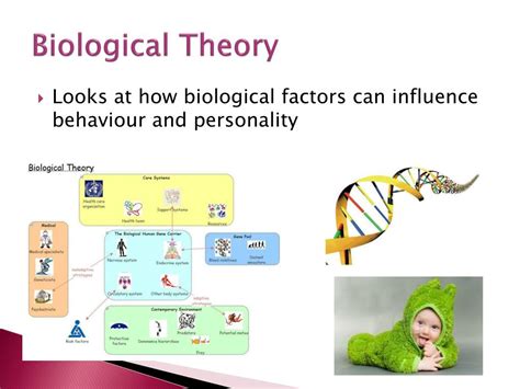 Biological Trait Theory Examples At Tayla Mein Blog