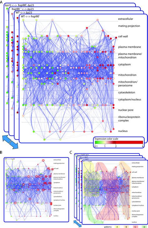 Visualization Of The Pairwise Comparisons Of The Microarray Data By A